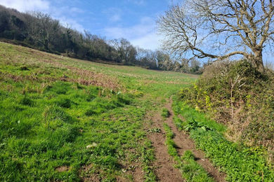 Pasture Land for Sale in the UK - 1,703 Properties | LandSale